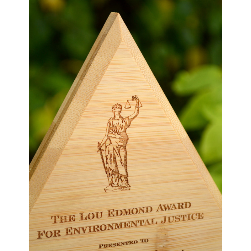 Bamboo Triangle Award